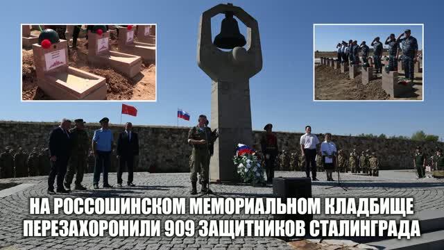 2026 год
