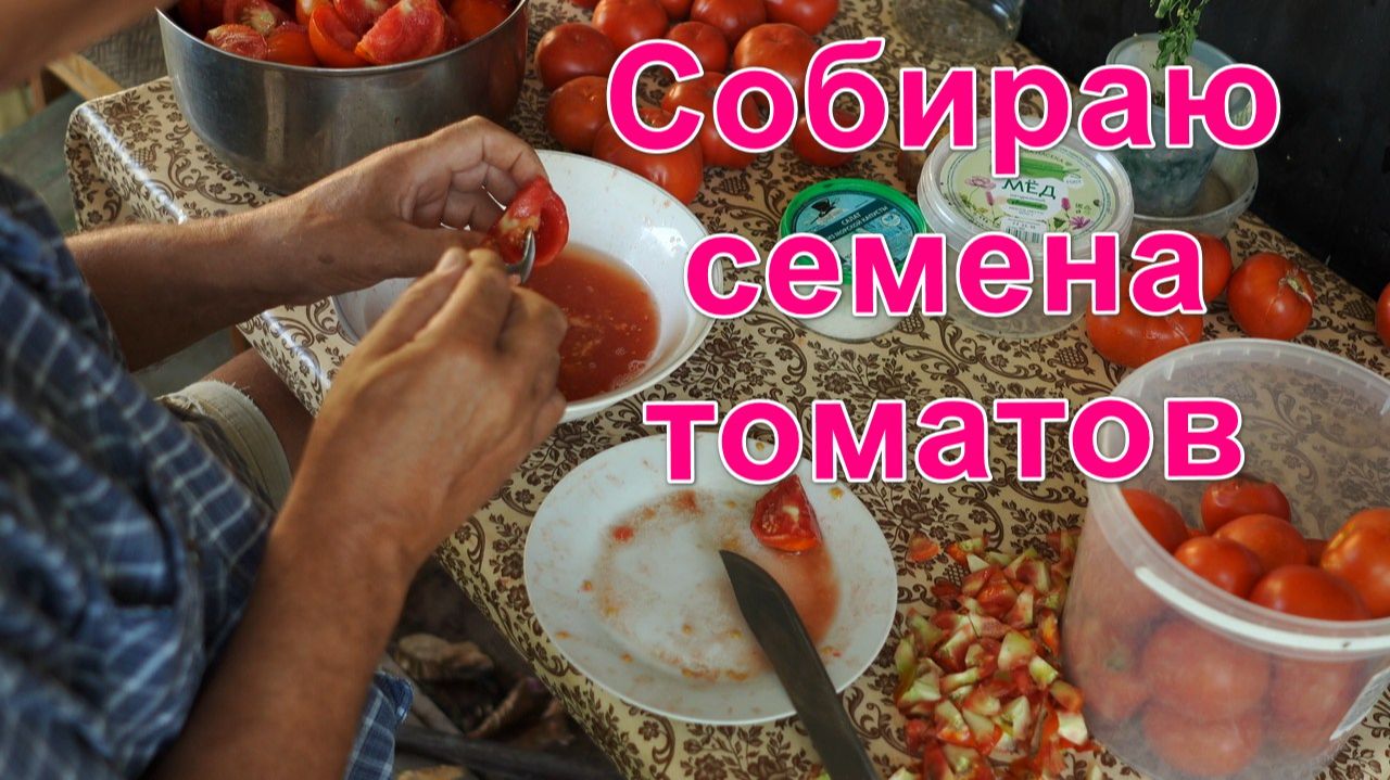 Домашние дела