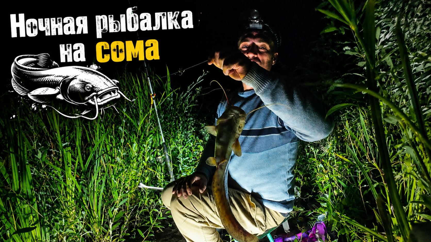 Ловля сома