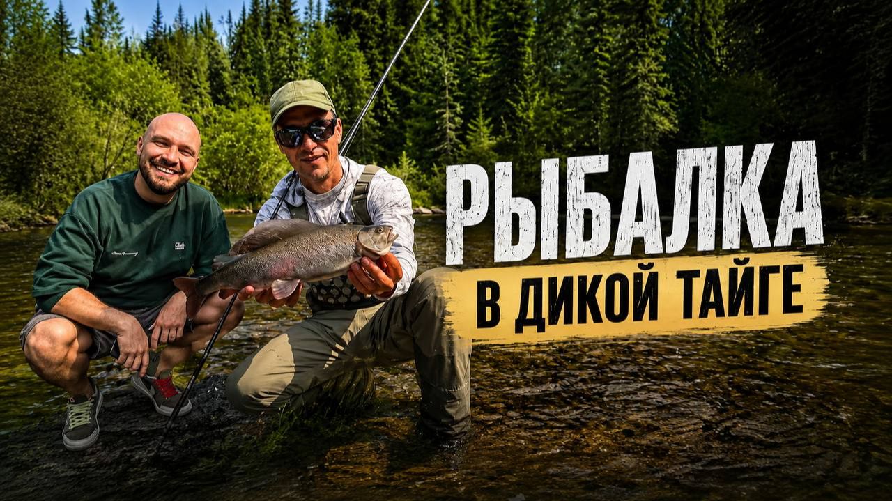 Тайга