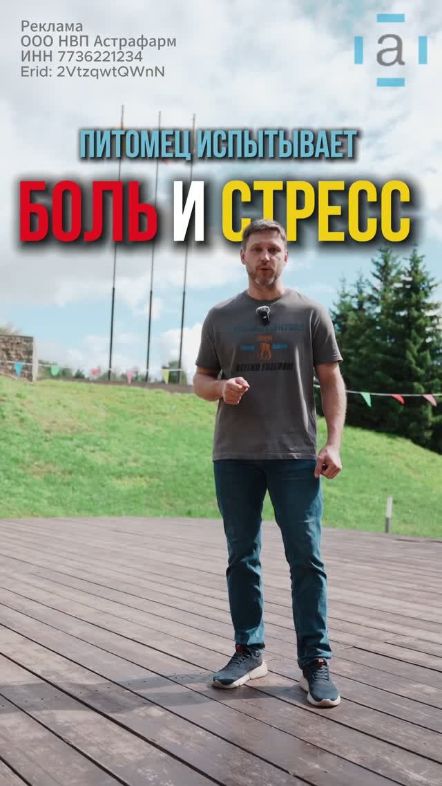 Советы от экспертов