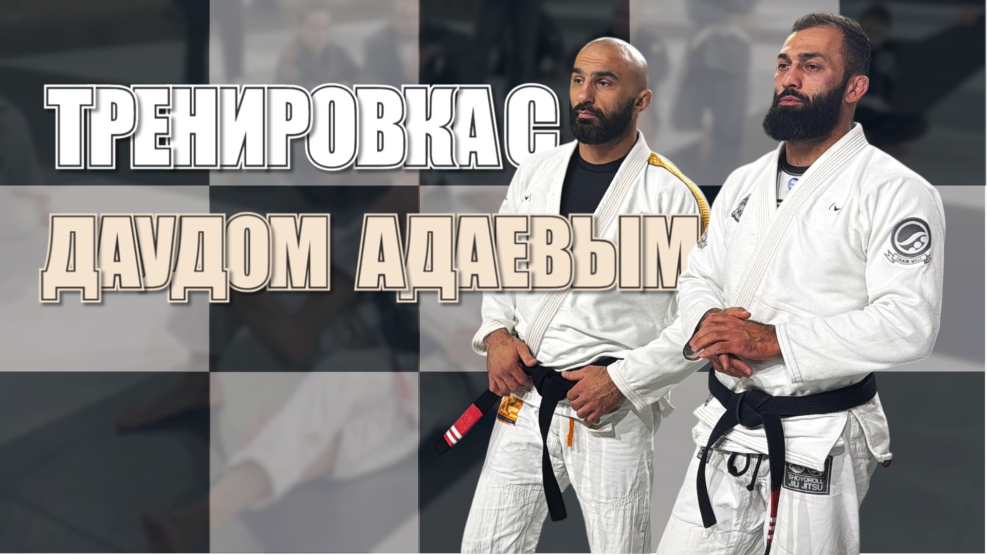 Обучающие видео по джиу-джитсу
