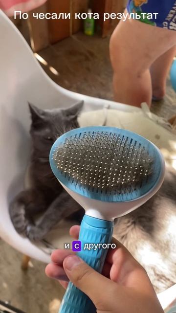 Моя жизнь на даче