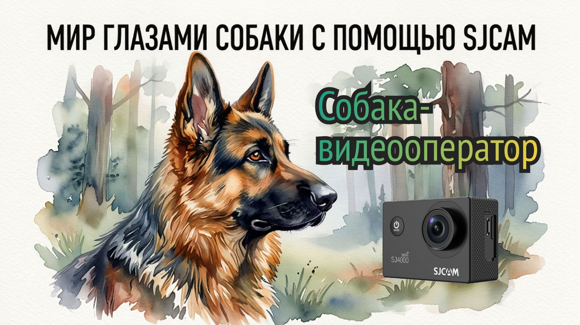 Собака-видеооператор