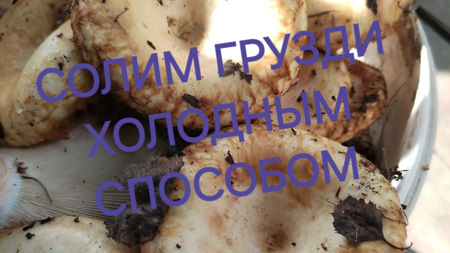 ЗАСОЛКИ НА ЗИМУ