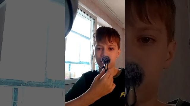стиримы
