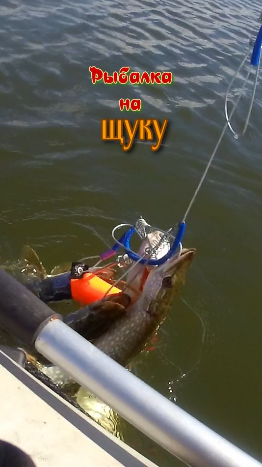 Рыбалка на спиннинг