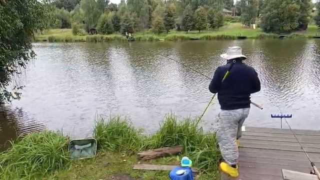 Видео с водоема