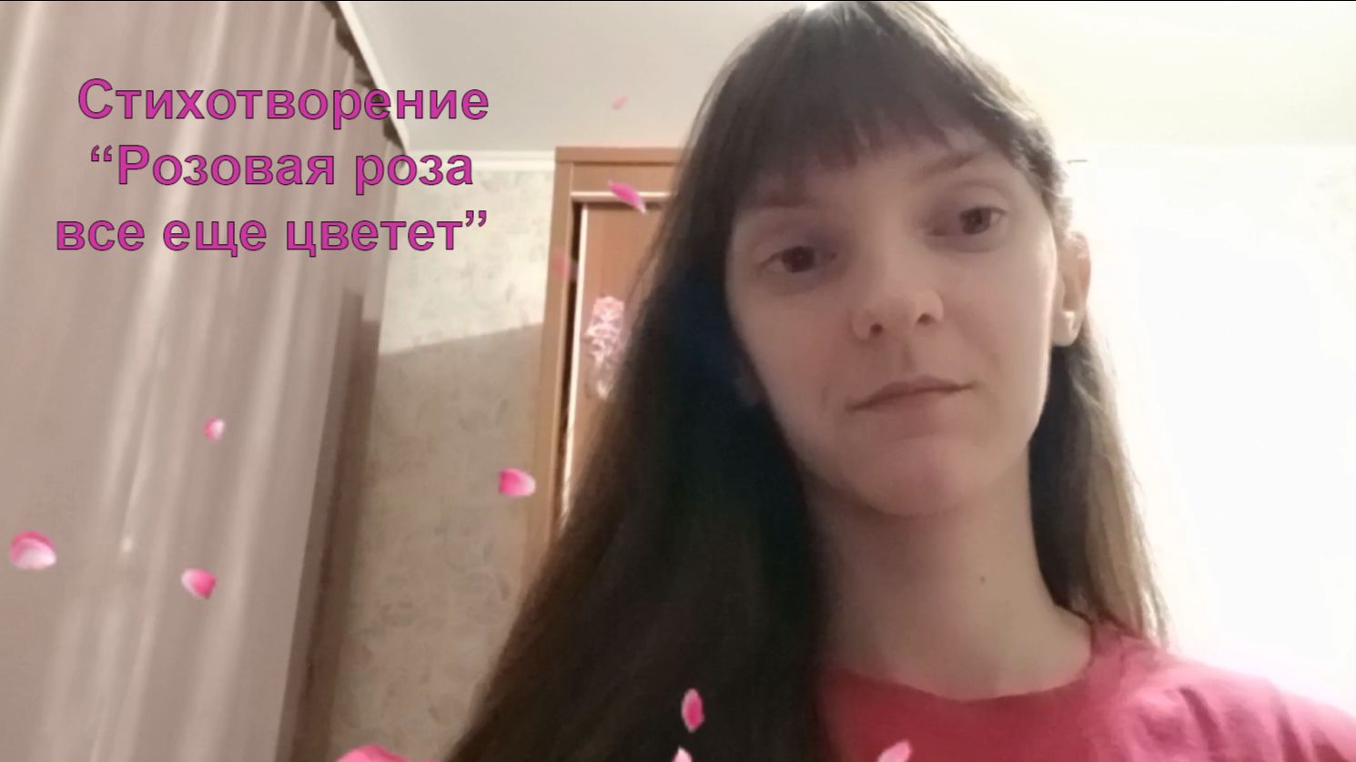 Мои стихи