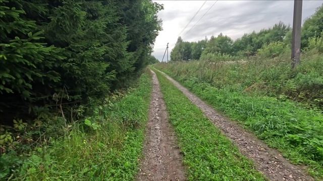 Прогулки в Воронцово