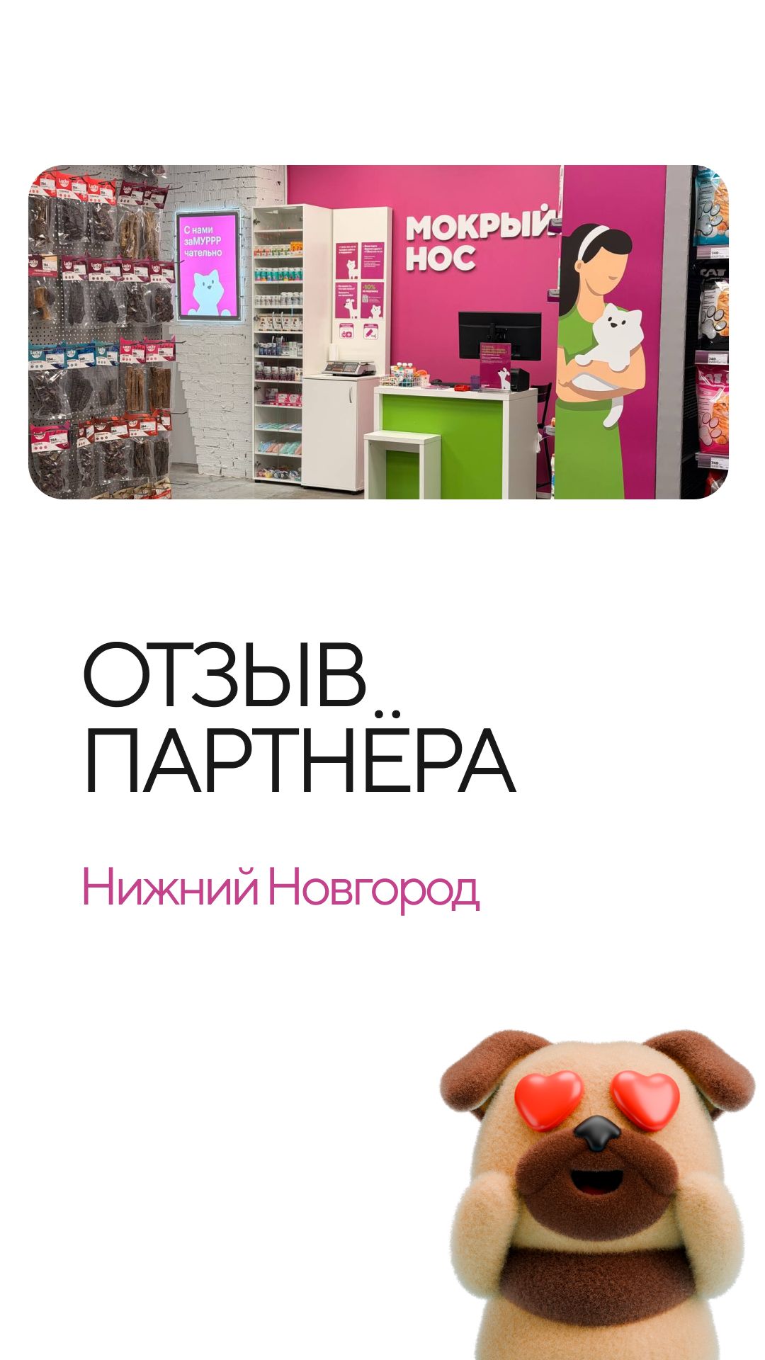 Отзывы партнёров-франчайзи Мокрый нос