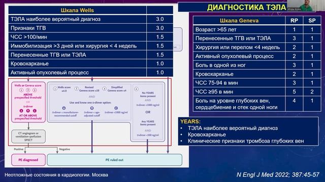 Стримы ″ЭКГ к Ч.А.Ю.″ 2025-2026гг