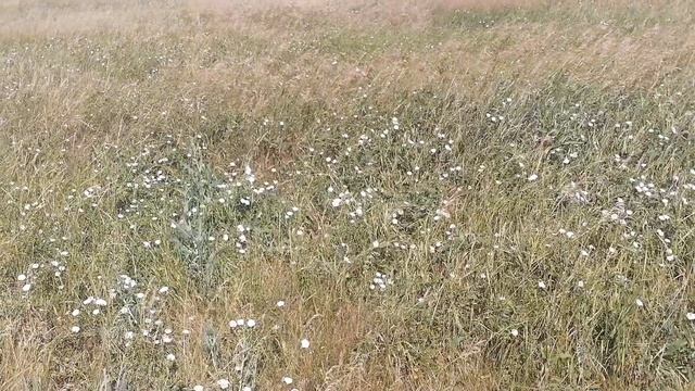 Таврический район Омской области
