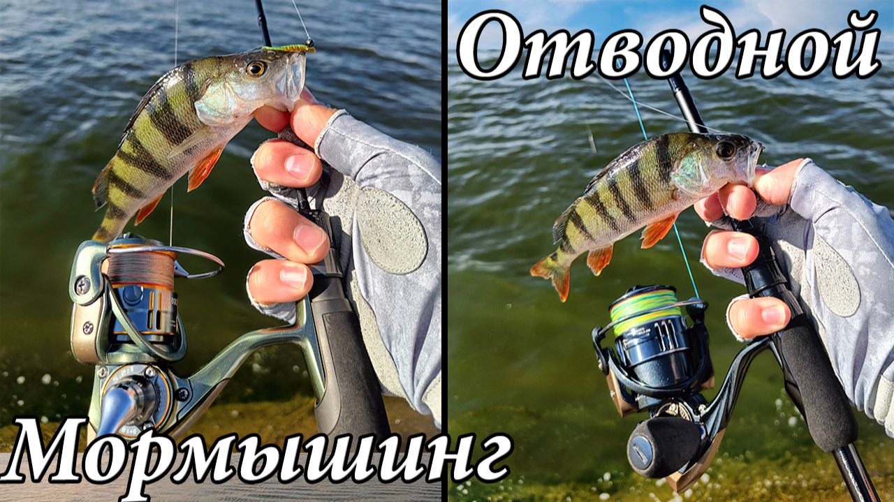 Рыбалка на щуку, окуня, судака, сома и других хищников