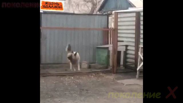 🤣 Ю М О Р