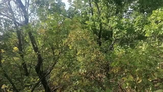 Рыбалка отдых путешествия и все что с этим связано