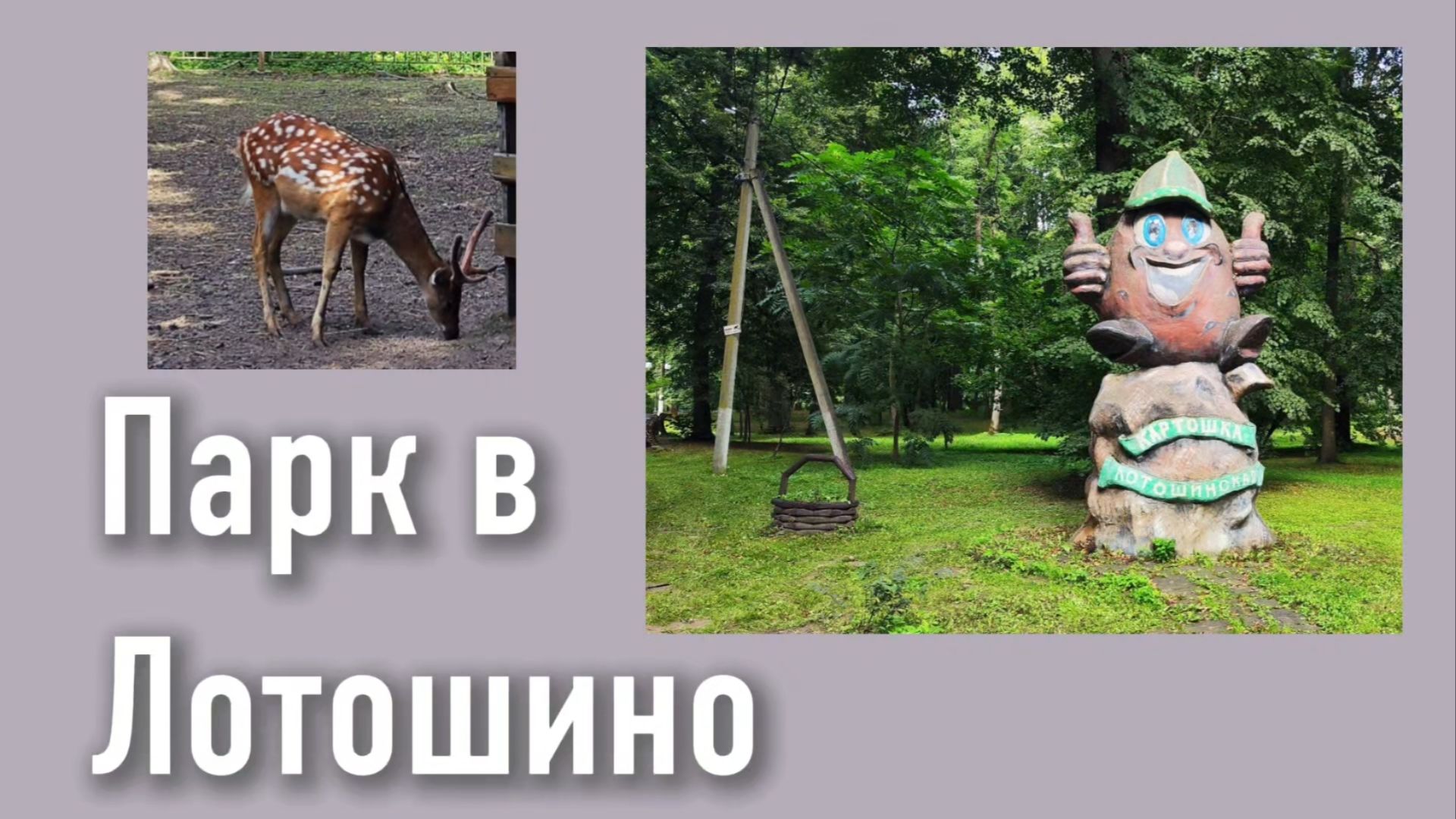 Подмосковье всем.