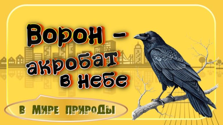 🔴СЛАЙД-РАССКАЗЫ⚪️