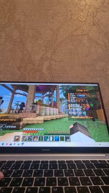 Minecraft