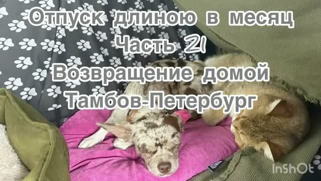 Отпуск длинно в месяц