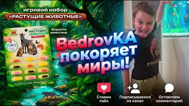 🔴 **ОПЕРАЦИЯ «ДОМАШНИЙ ПАТРУЛЬ»** 🔴