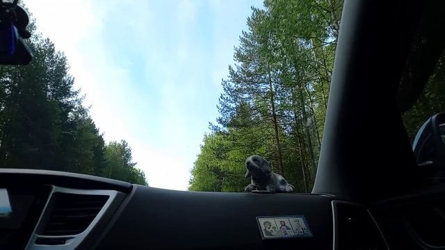 Поездки и Путешествия!