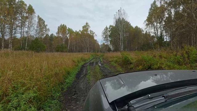 Путешествия