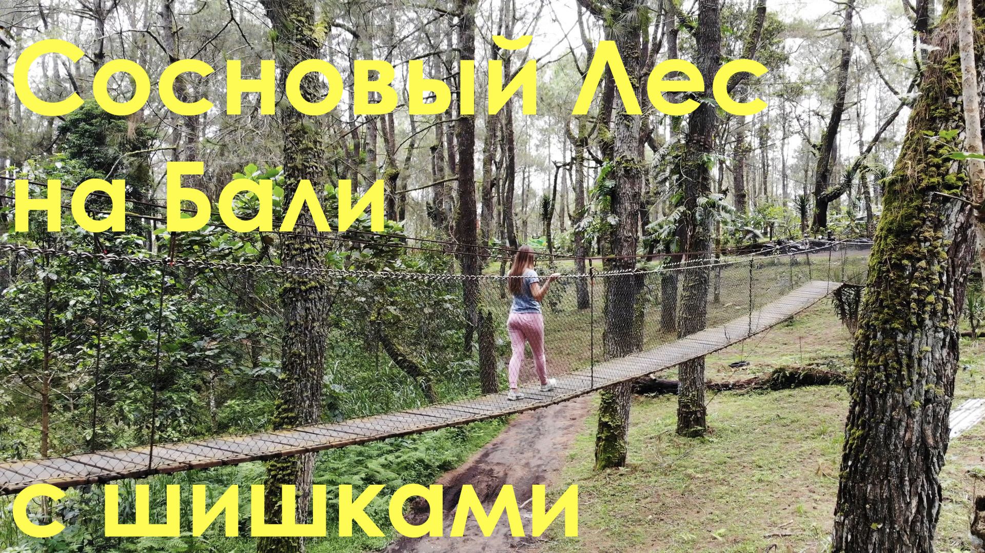 Бали