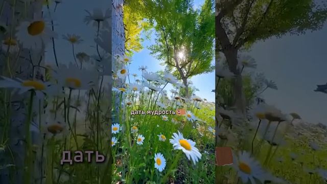 АКТУАЛЬНО СЕГОДНЯ.