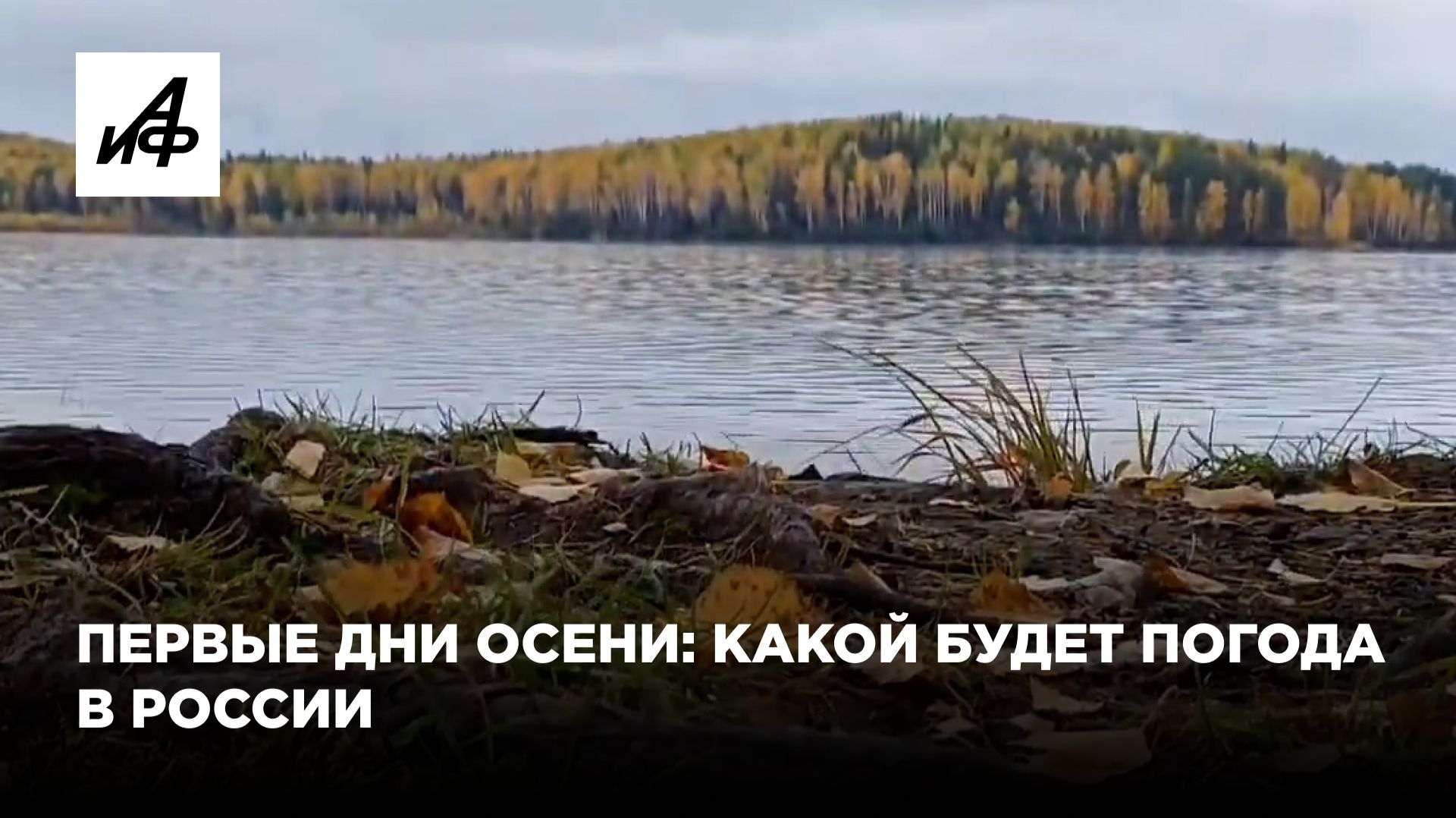 Погода