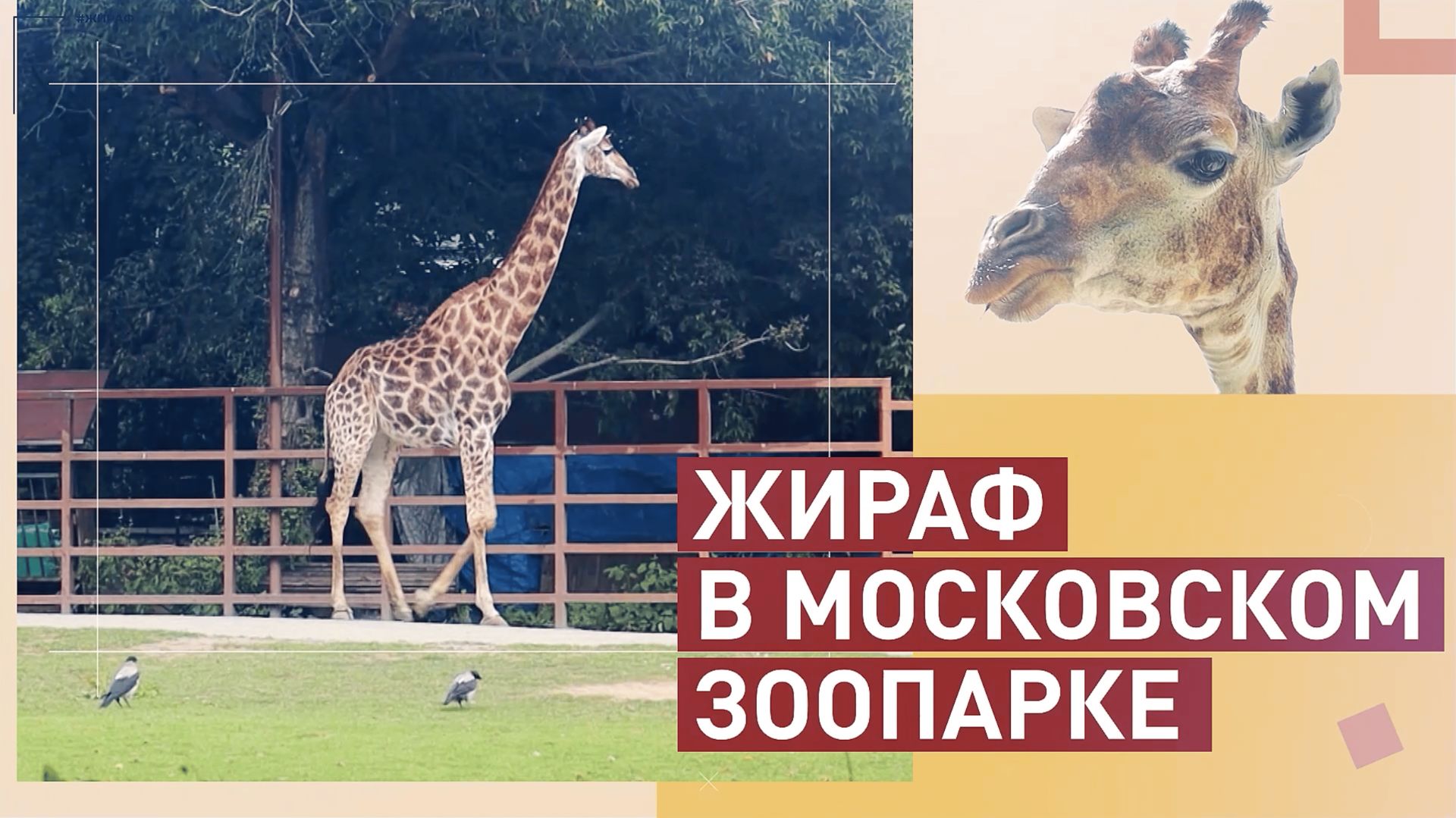 Мои работы на RT