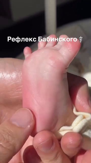 ФЧиЖ