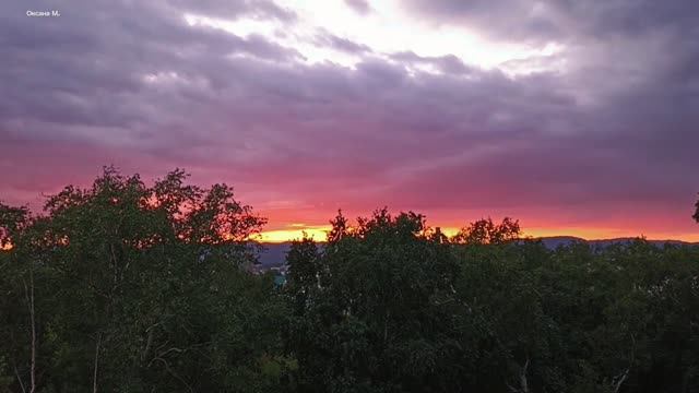 Мои песни