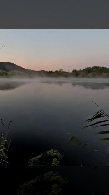 Лучшие кадры рыбалки 🎣