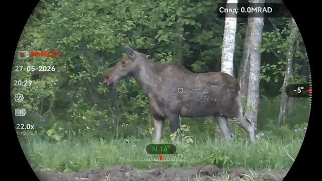 Видео с приборов