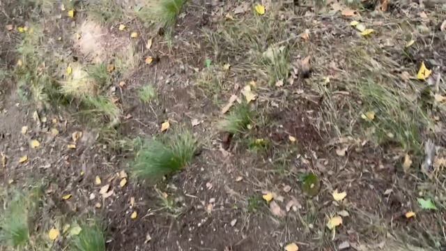 Поездки по Красноармейскому району