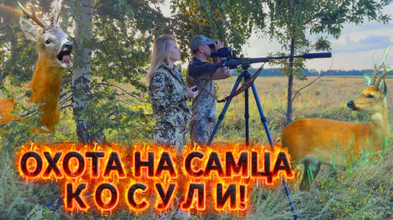 Копытные