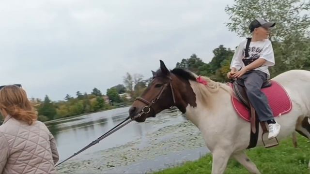 Мои песни