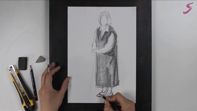 Анатомия