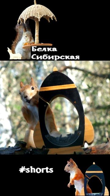 Кормушка Ракета