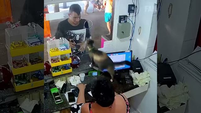 Все смешные видео, ч.7
