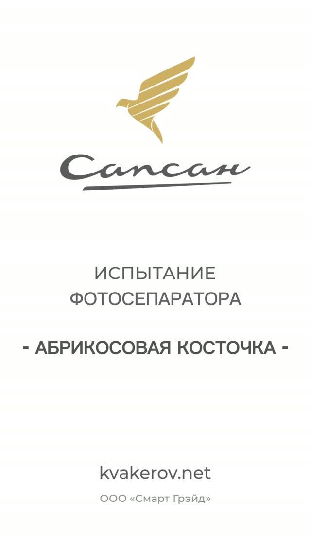 Сортировка пищевых материалов