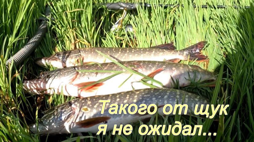 спиннинг на малых реках