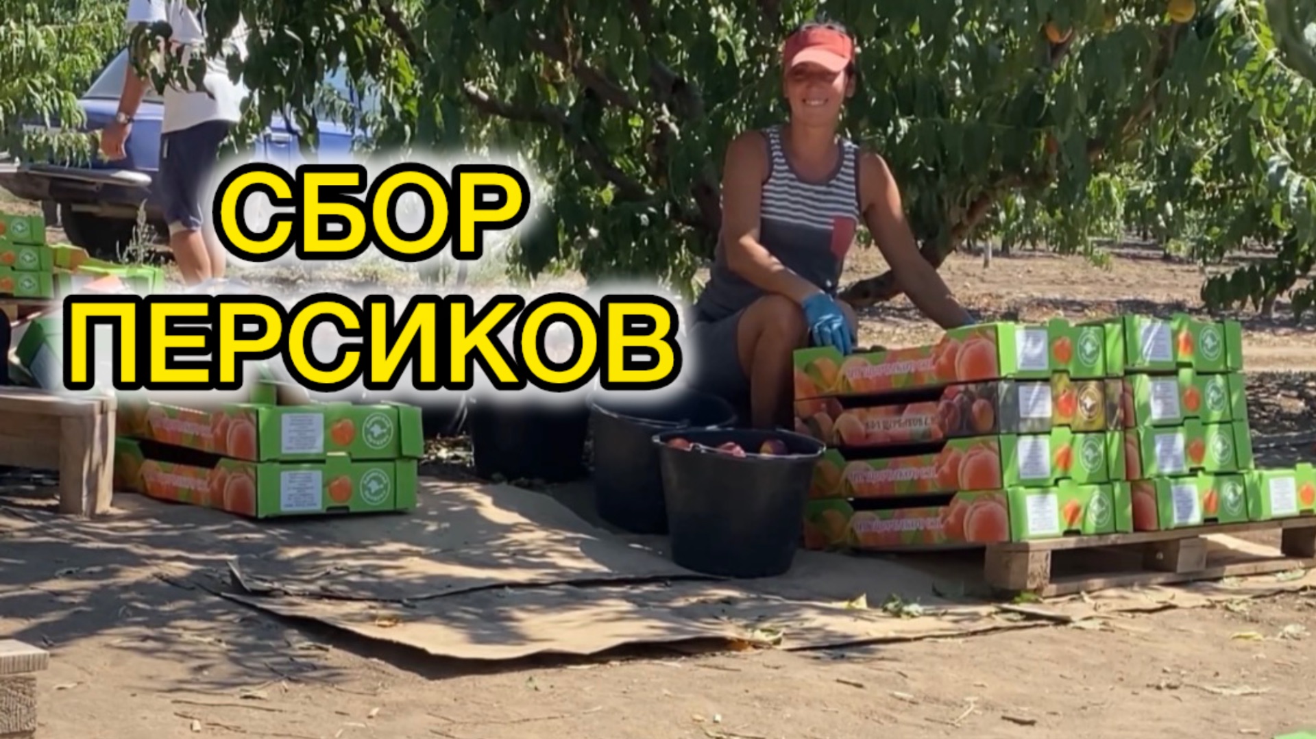 Работа в Крыму