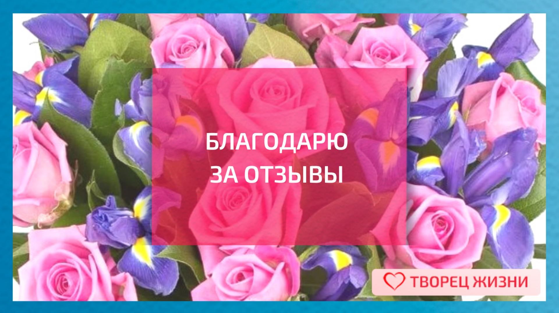 Отзывы