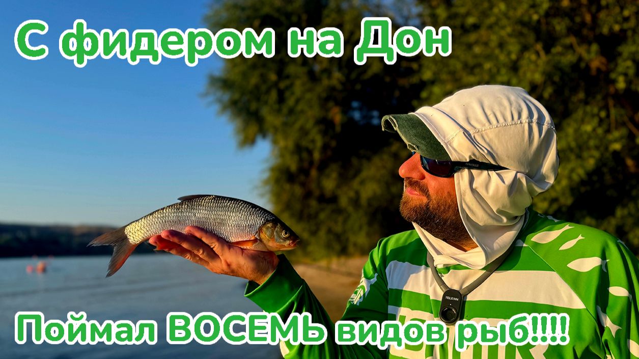 Путешествия / Сплавы / Природа / Дикий Отдых