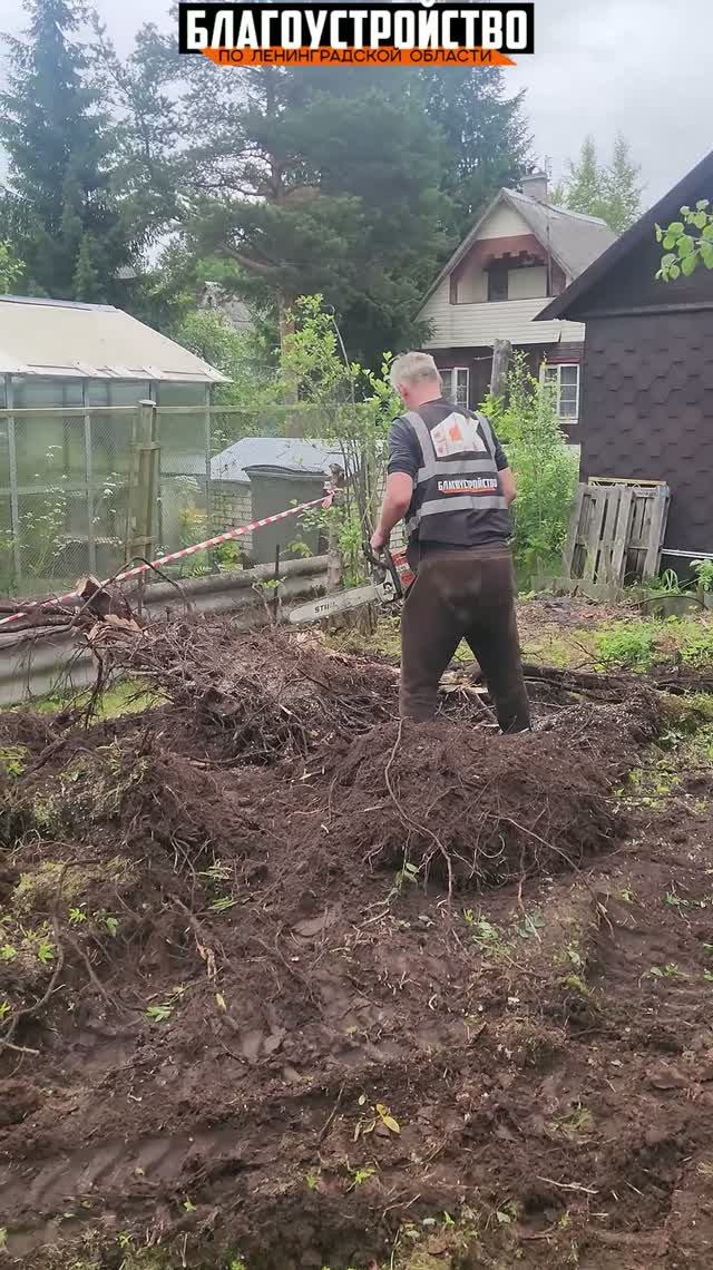 Расчистка участка