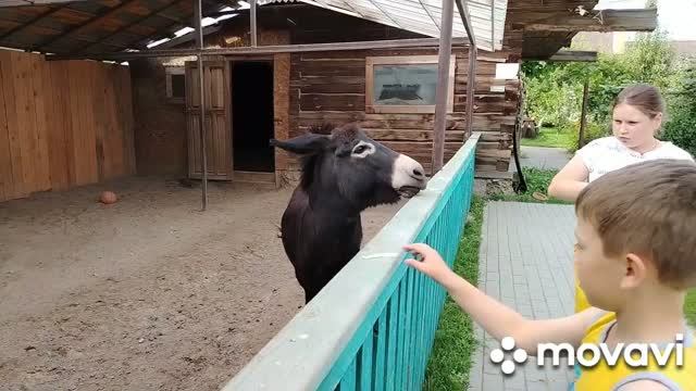 Путишествия, отдых