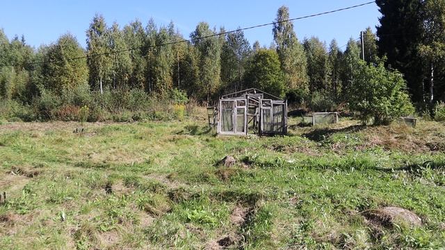 Мелочи жизни.