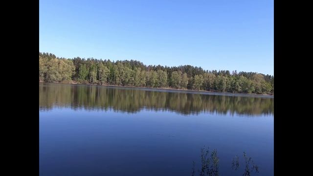 рыбалка